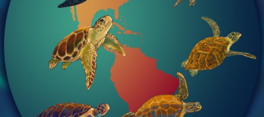 Convención Interamericana para la Protección y Conservación de las ...