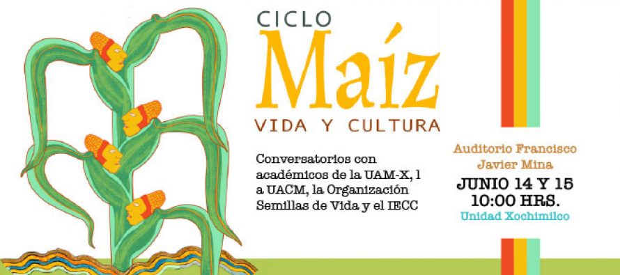 Ciclo Maíz, Vida y Cultura | México Ambiental